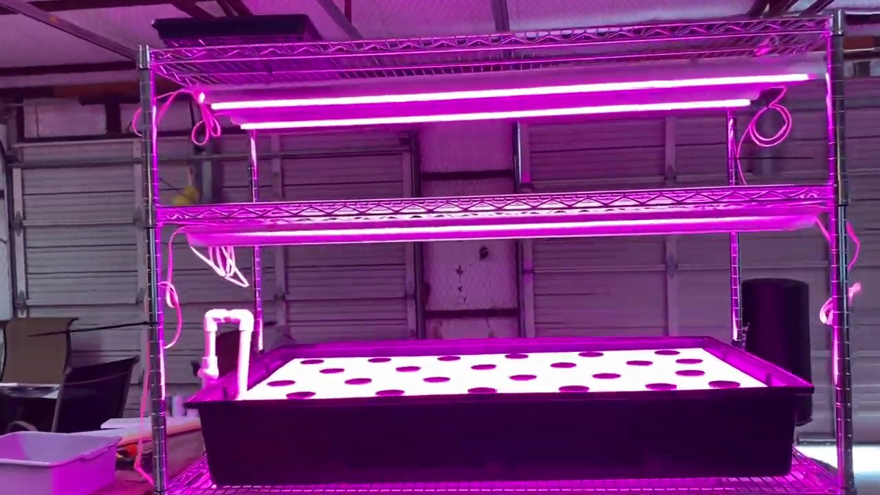 New Home Scale Indoor Vertical Hydroponics Farm - Part Three - YouTube