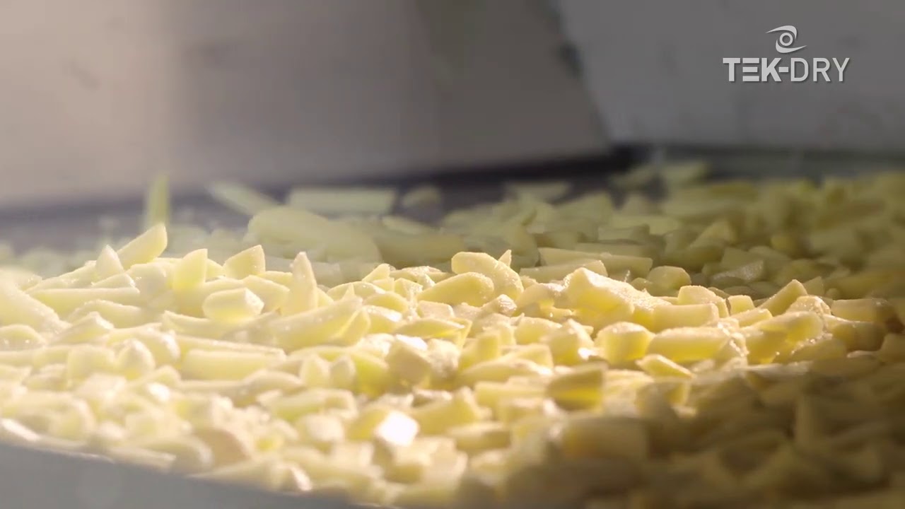 Tek-Dry Systems French Fry Dryer - YouTube