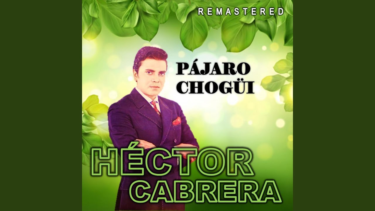 Pájaro Chogüi (Remastered) - YouTube