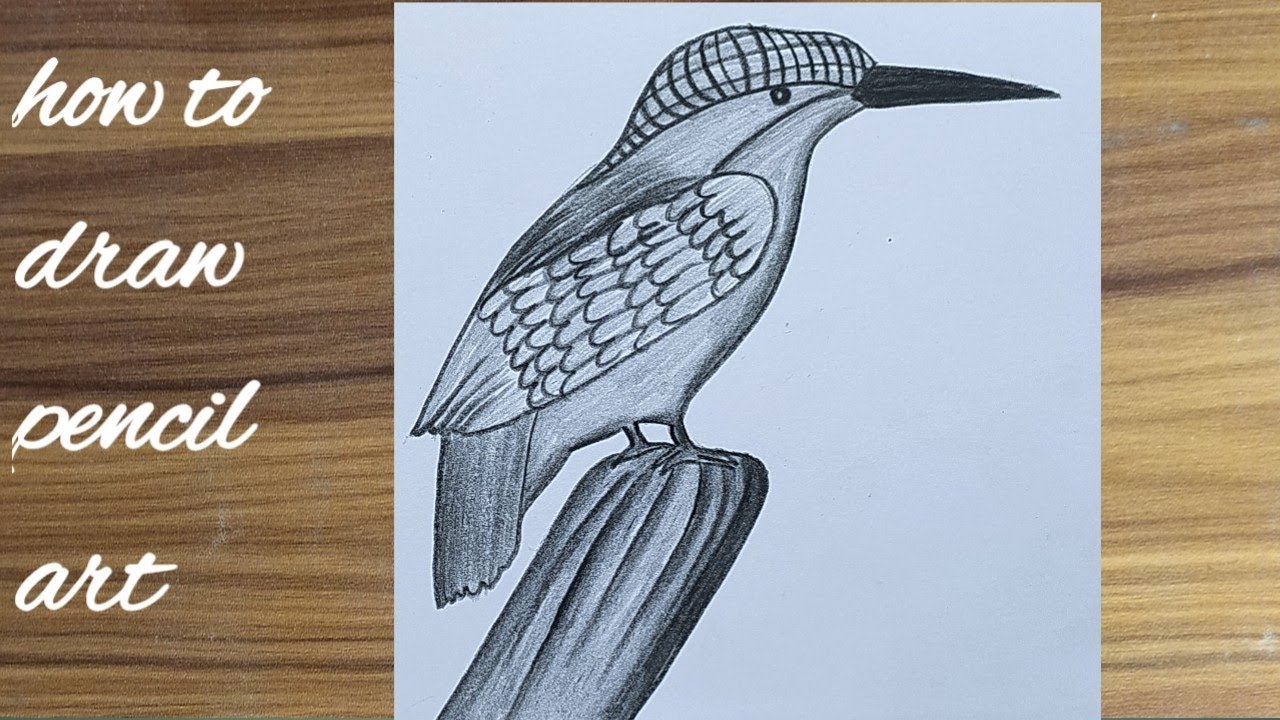 How to draw fish easily with pencil/Fish Ranga is easily drawn with ...