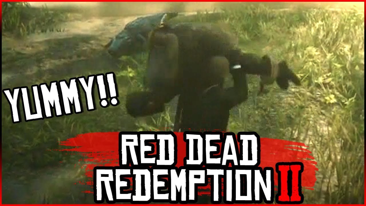 Red Dead Redemption 2: Gator Food!! - YouTube