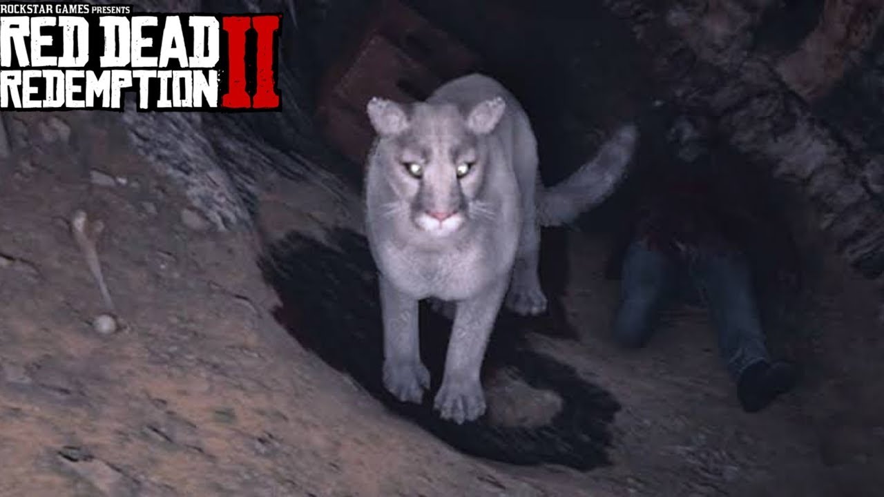 HUNTING WHITE FUR COUGAR IN RDR2 - Red Dead Redemption 2|| PART- 19 ...