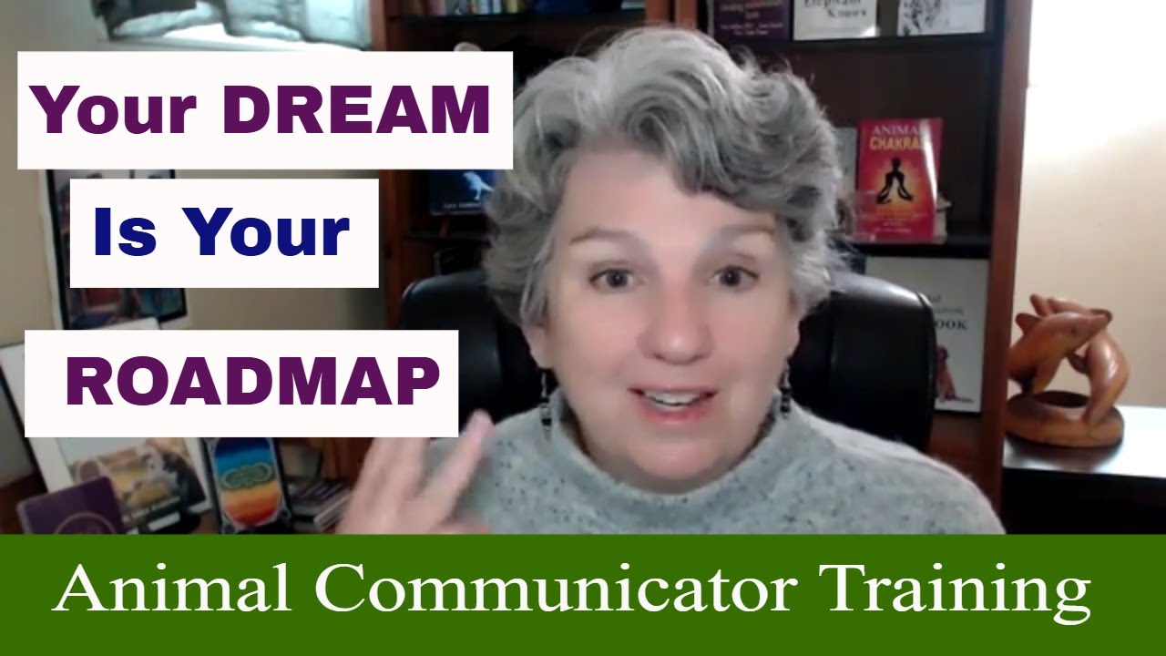 Your AC Dream Is Your Road Map to Success - YouTube