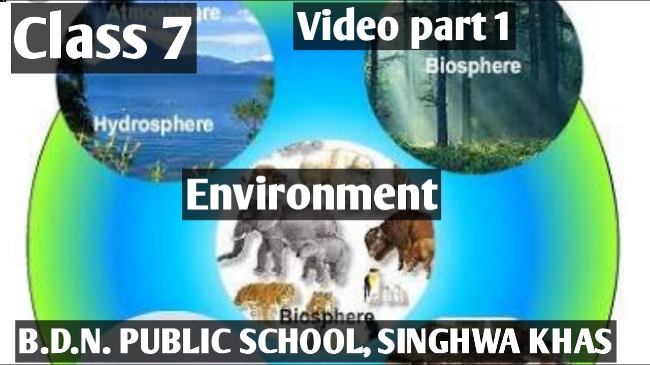7th class geography ( Environment ) video part : 1 - YouTube