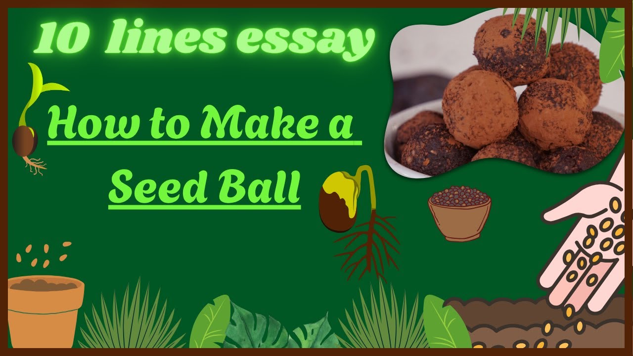 How to Make a Seed Ball || Seed Ball - YouTube