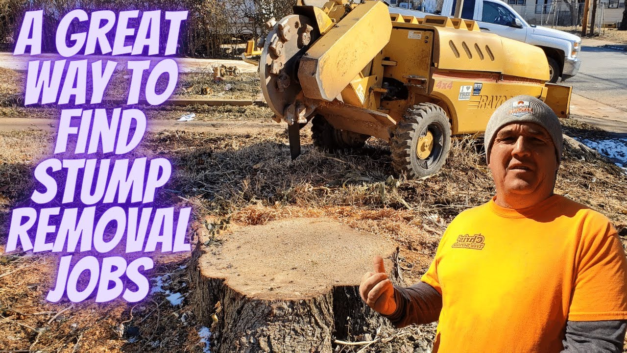 A Great Way to Find Stump Removal Jobs - YouTube
