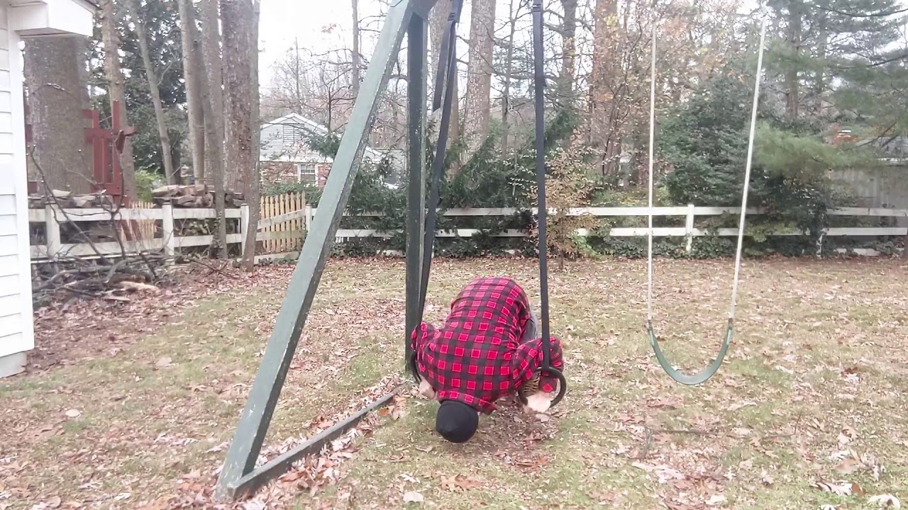 Gymnastics Ring Pike Push-Up One Month Progress - YouTube