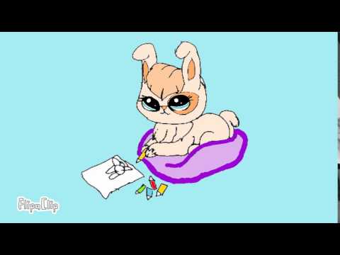 Kiku tv - YouTube
