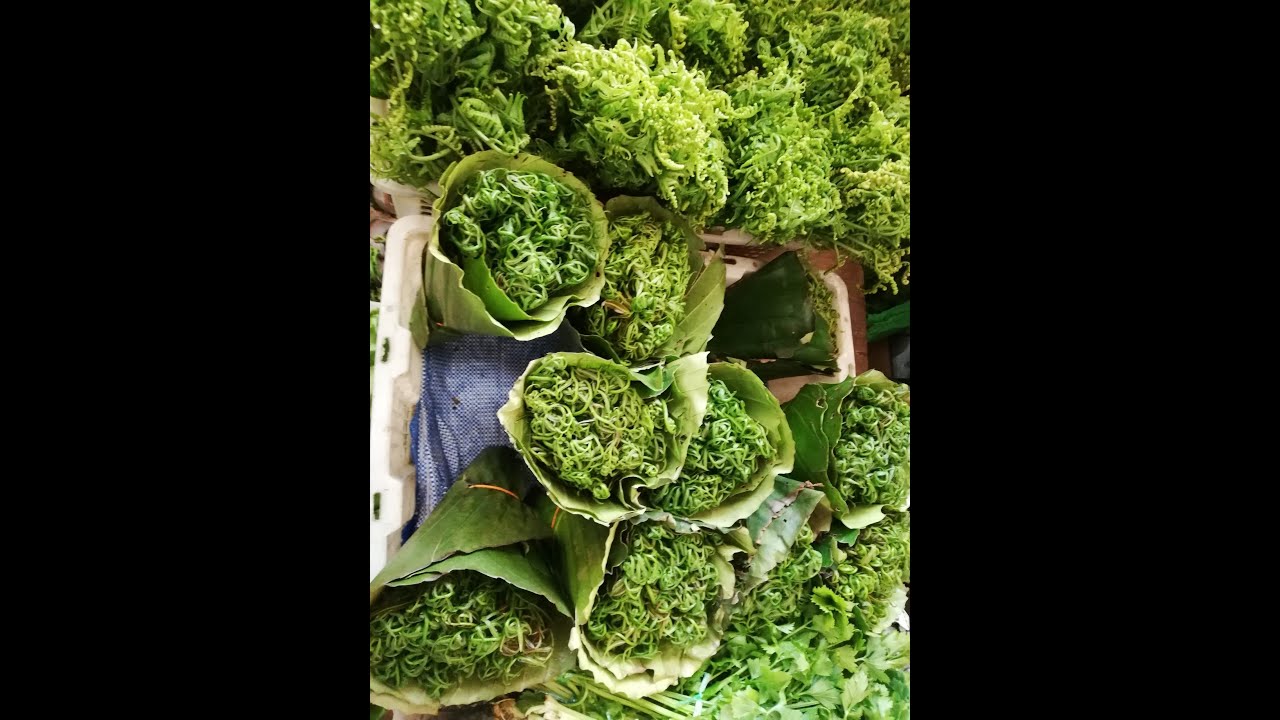 How to cook Midin Sarawak - YouTube