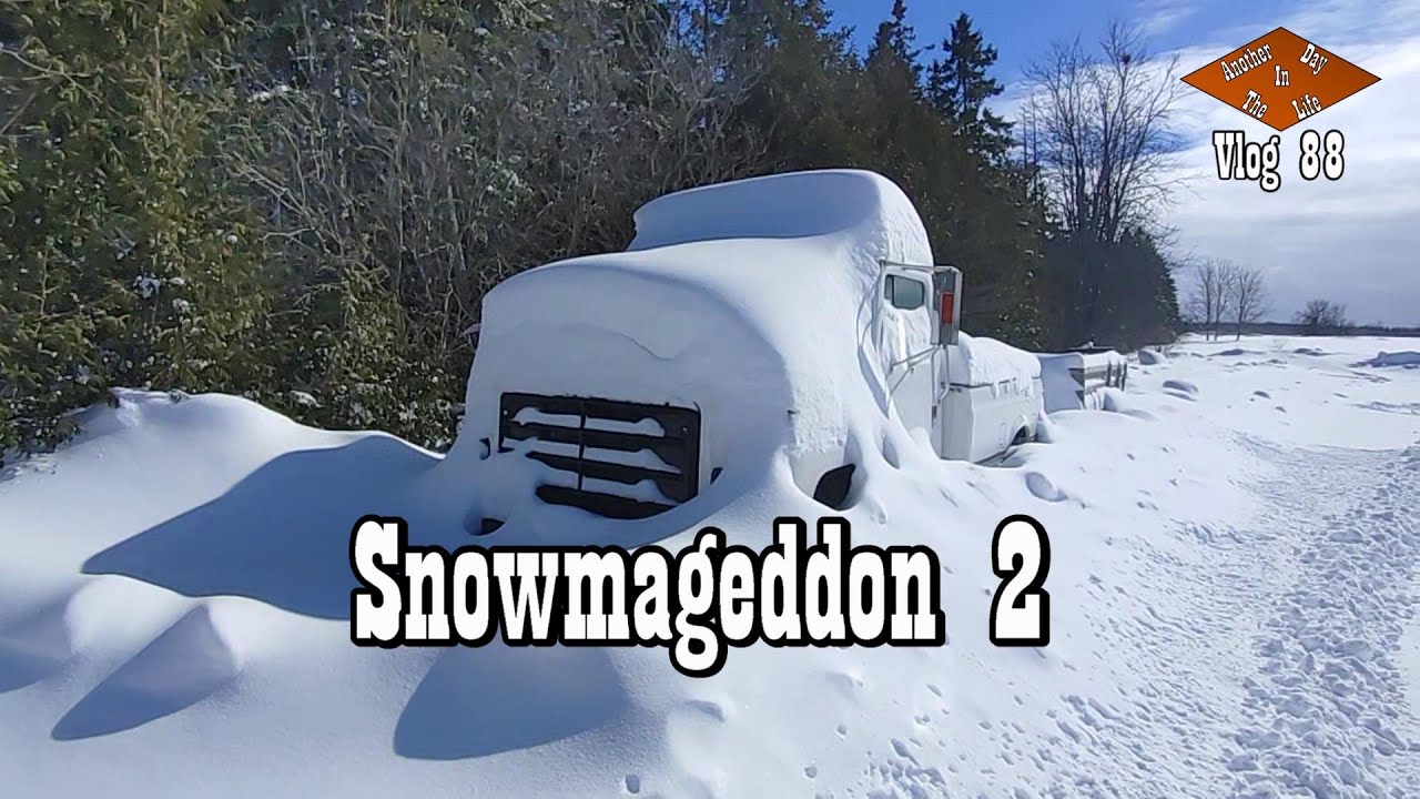 Snowmageddon 2 | Another Day in the Life Vlog 88 - YouTube