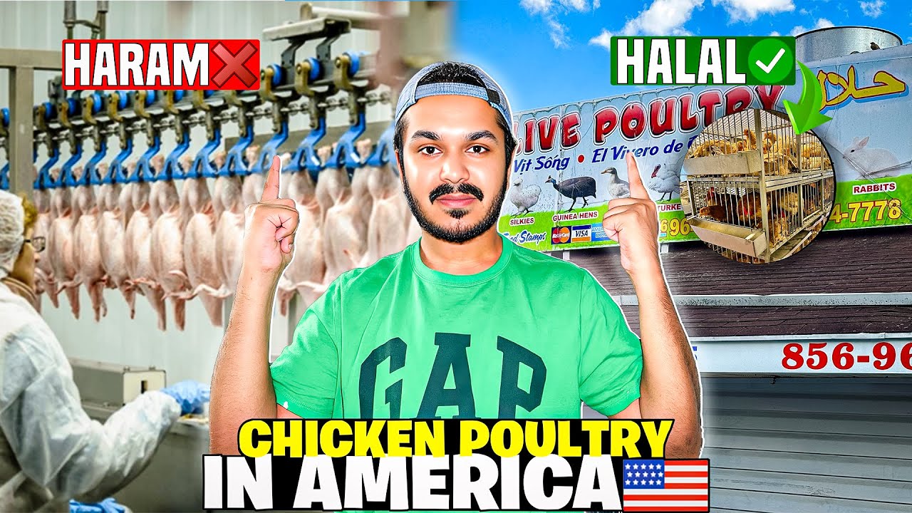 Haram vs Halal Chicken in America 🇺🇸 | Which One Should You Buy? 🇵🇰🇮🇳 ...
