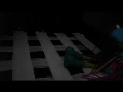 Furry take a bath (three years old)