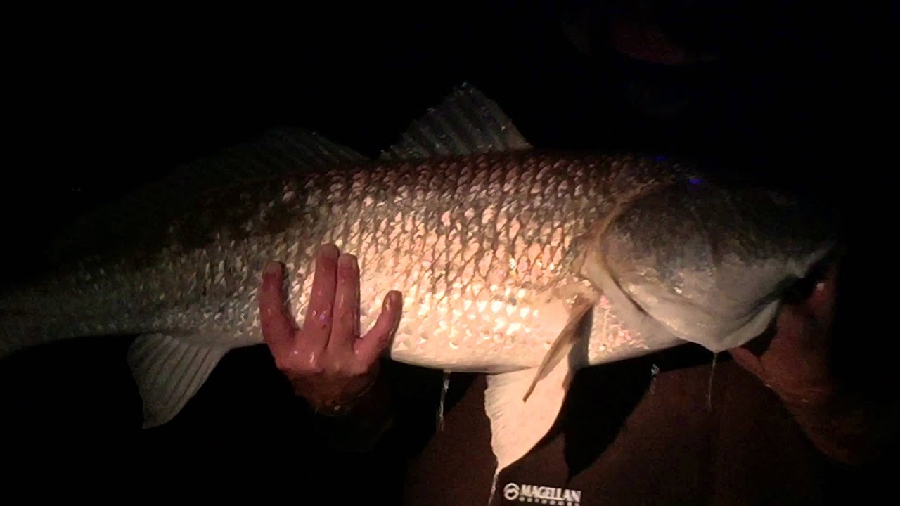 Bolivar Peninsula Texas Surf Fishing Bull Reds - YouTube