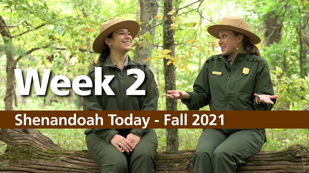 Fall Broadcast - September 23, 2021 - YouTube