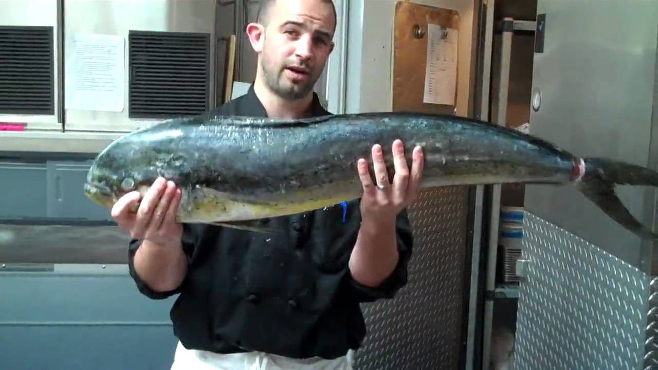 BlackSalt Fish Market Selections For July 4th Weekend.mp4 - YouTube