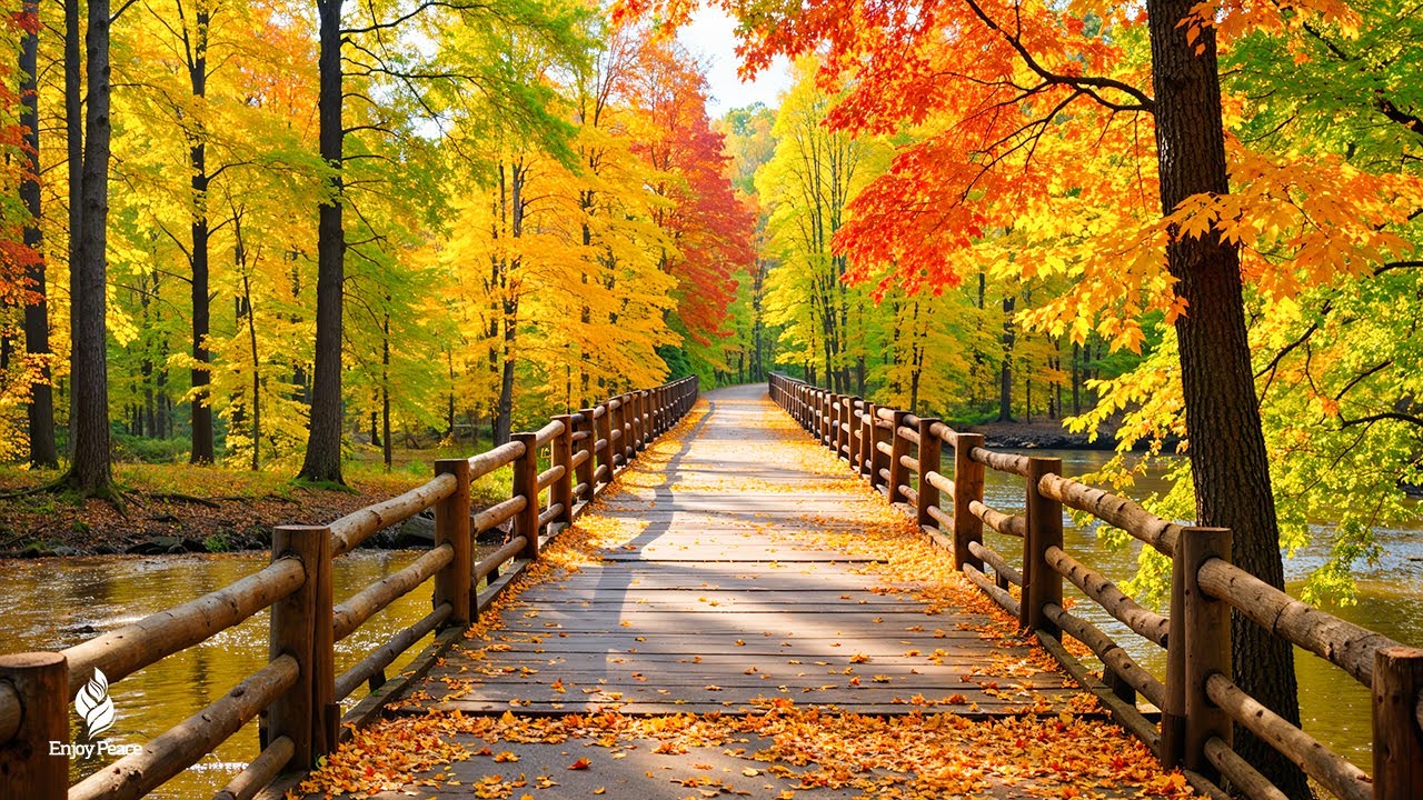 Beautiful Relaxing Music 🍁 Autumn Melodies for Stress Relief & Healing ...