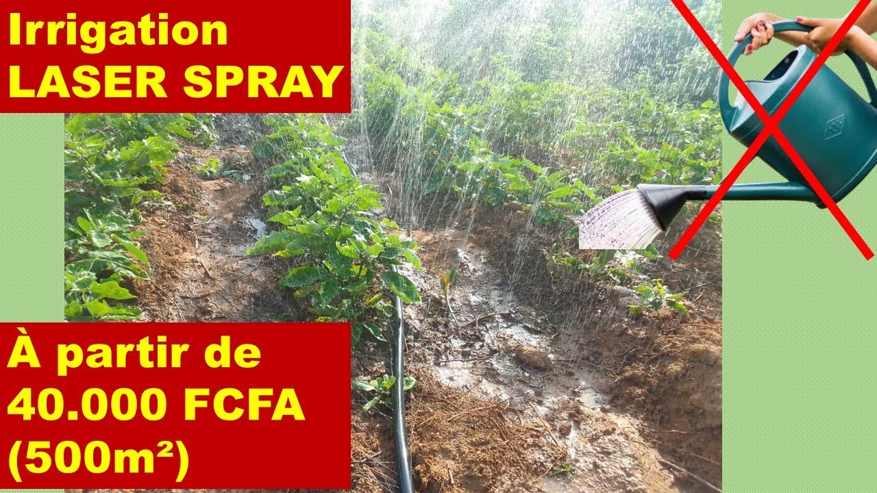 Incroyable Irrigation LASER SPRAY (NEW) #agriculture #irrigation # ...