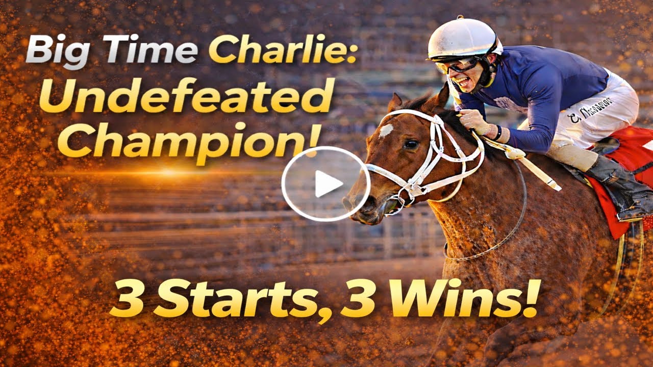 Big Time Charlie: 3 Starts, 3 Wins - Unstoppable Thoroughbred Racing ...