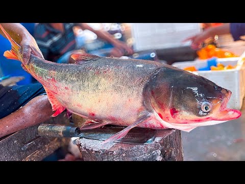 Giant Carp Fish Cutting Skills Live || Amazing Giant Red Carp Fish ...