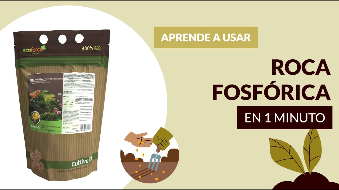 🟢 APRENDE a USAR HARINA DE ROCA FOSFÓRICA en 1 Minuto 🚀 (Cultivers Eco ...