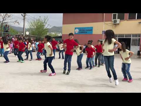 Veysel Karani İlkokulu 23 Nisan 2017- penguen dansı