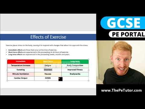 Short Term Effects of Exercise on The Body - YouTube