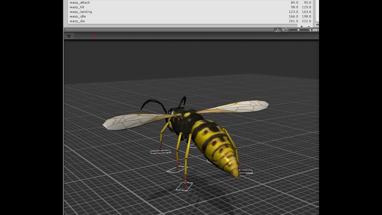 Wasp Animations - YouTube