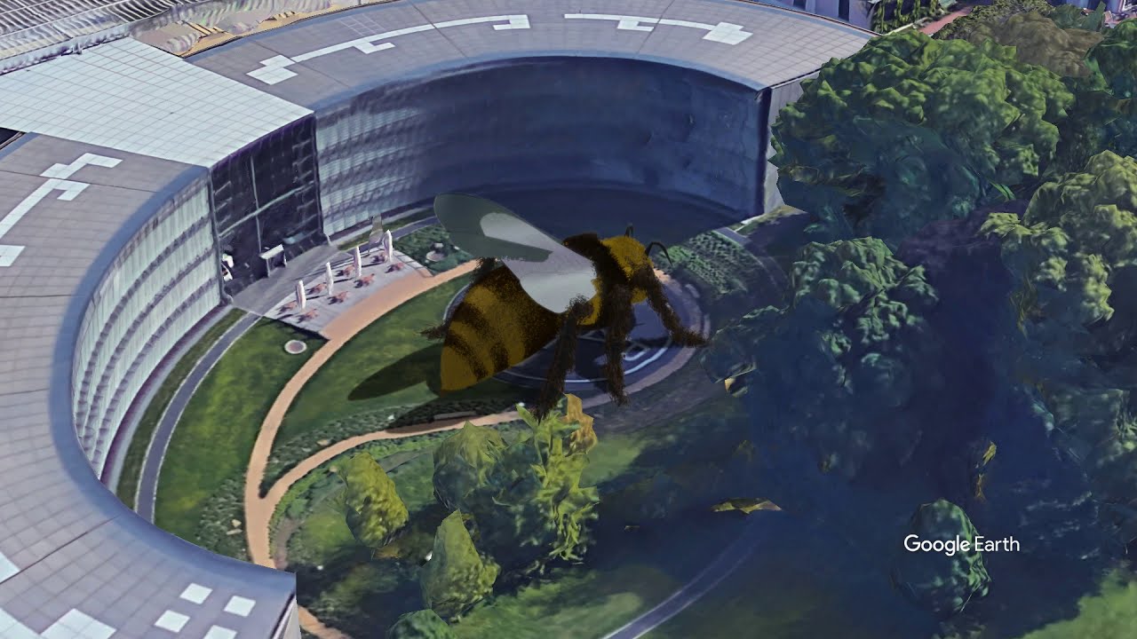 The Bayer Bee - YouTube