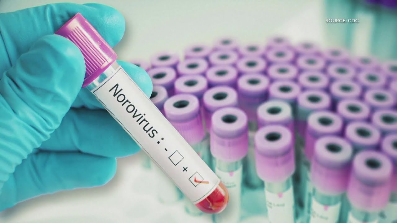 Norovirus appears to keep spreading as rate of positive tests exceeds ...