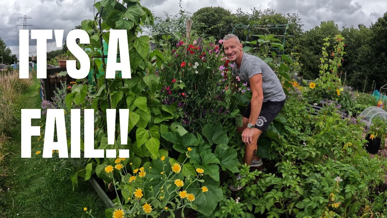 Garden failures……and where are all the strawberries??? - YouTube