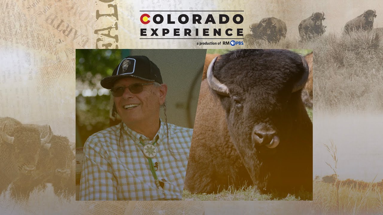 Colorado Experience | Return of the Buffalo, Part 1 - YouTube