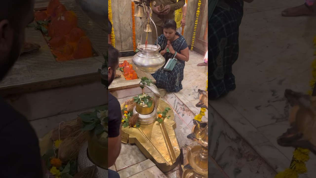 Mhasa Yatra Murbad #mhasa #mhasayatra #bailbazar #bailgadasharyat # ...