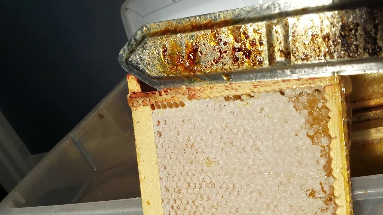 Uncapping honey - YouTube