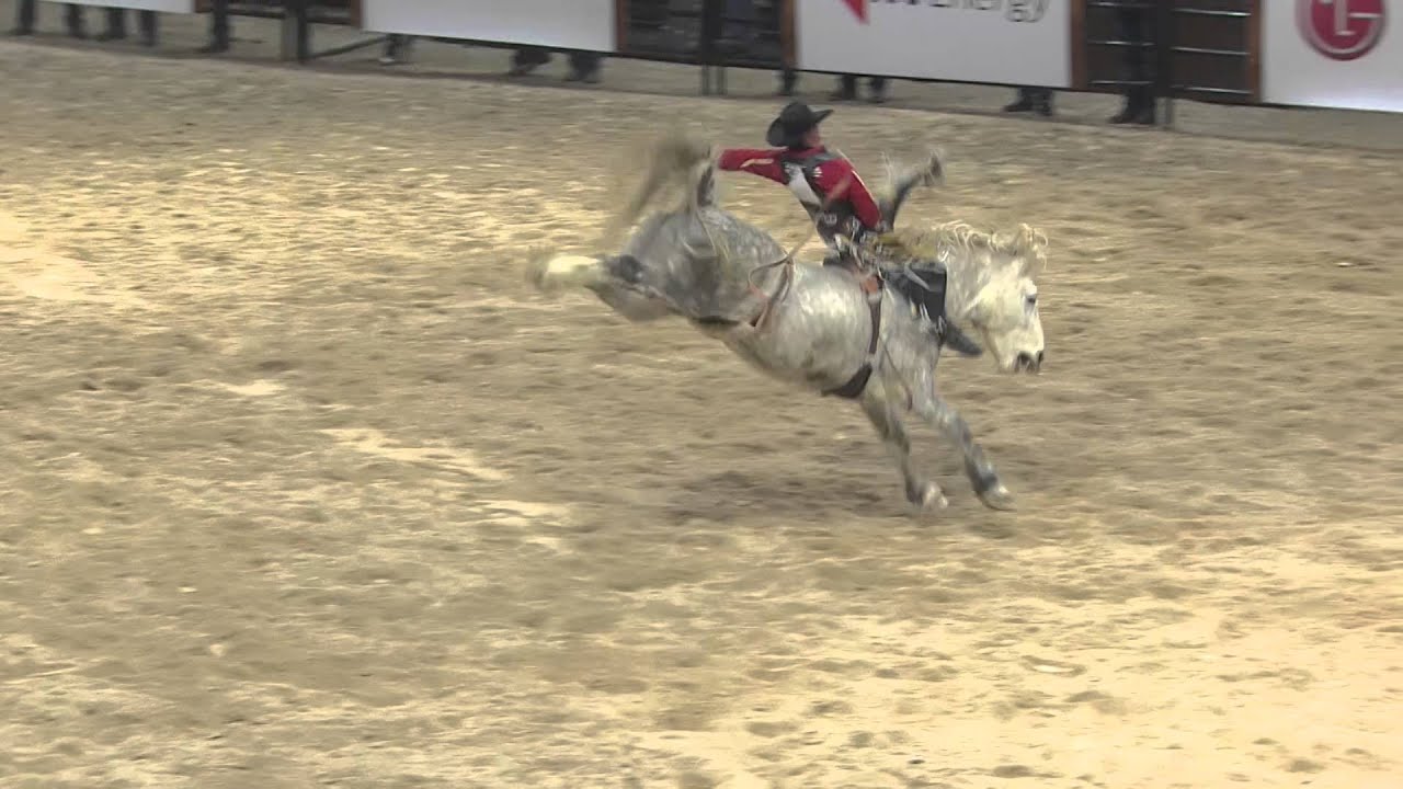 Jake Vold wins the Boyd Gaming Chute Out with a 94 on C5 Rodeo's Virgil ...