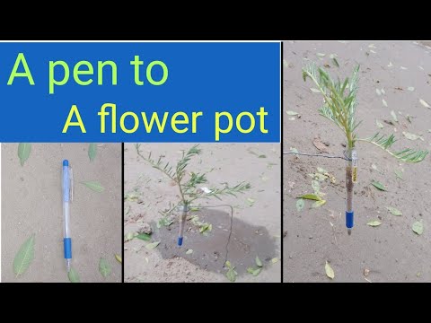 Making pot from pen | how to make a hanging pot - YouTube