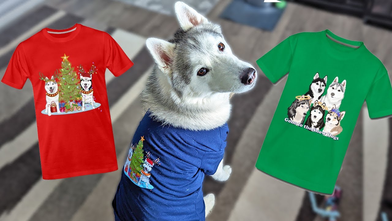 We Got a Box of Husky Merch! - YouTube