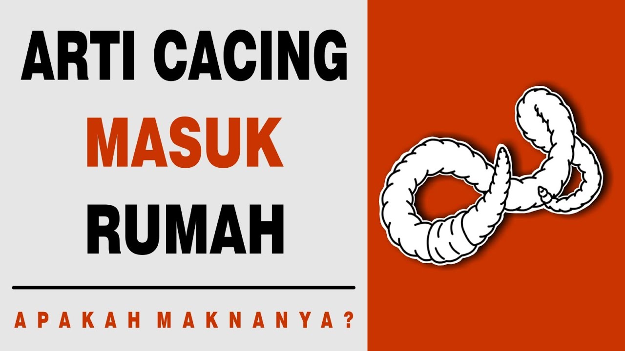 Arti Cacing Masuk Rumah - YouTube