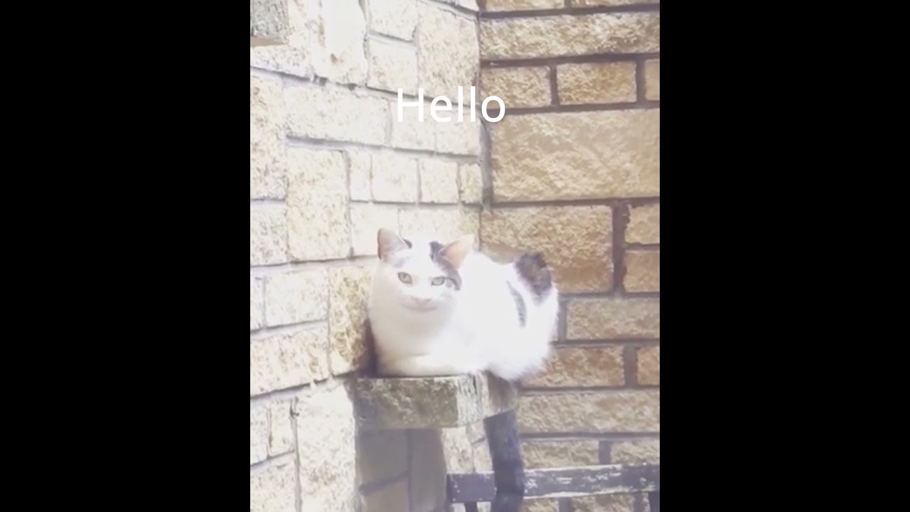 Begula Face Reveal - YouTube