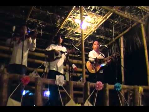 XI fiesta del huapango tepetzintla - YouTube