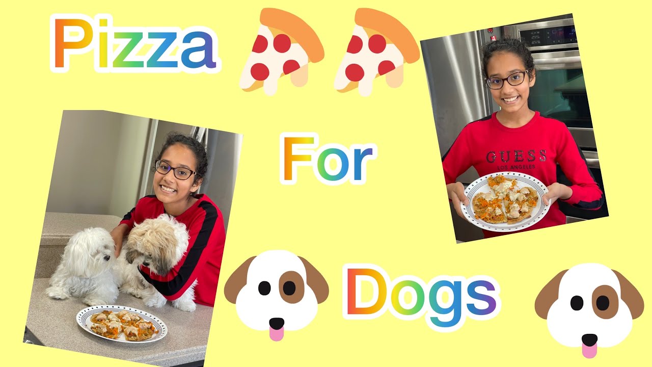 DIY PIZZA FOR DOGS | Dog friendly Pizza | DIY Dog Treats | Home Made ...