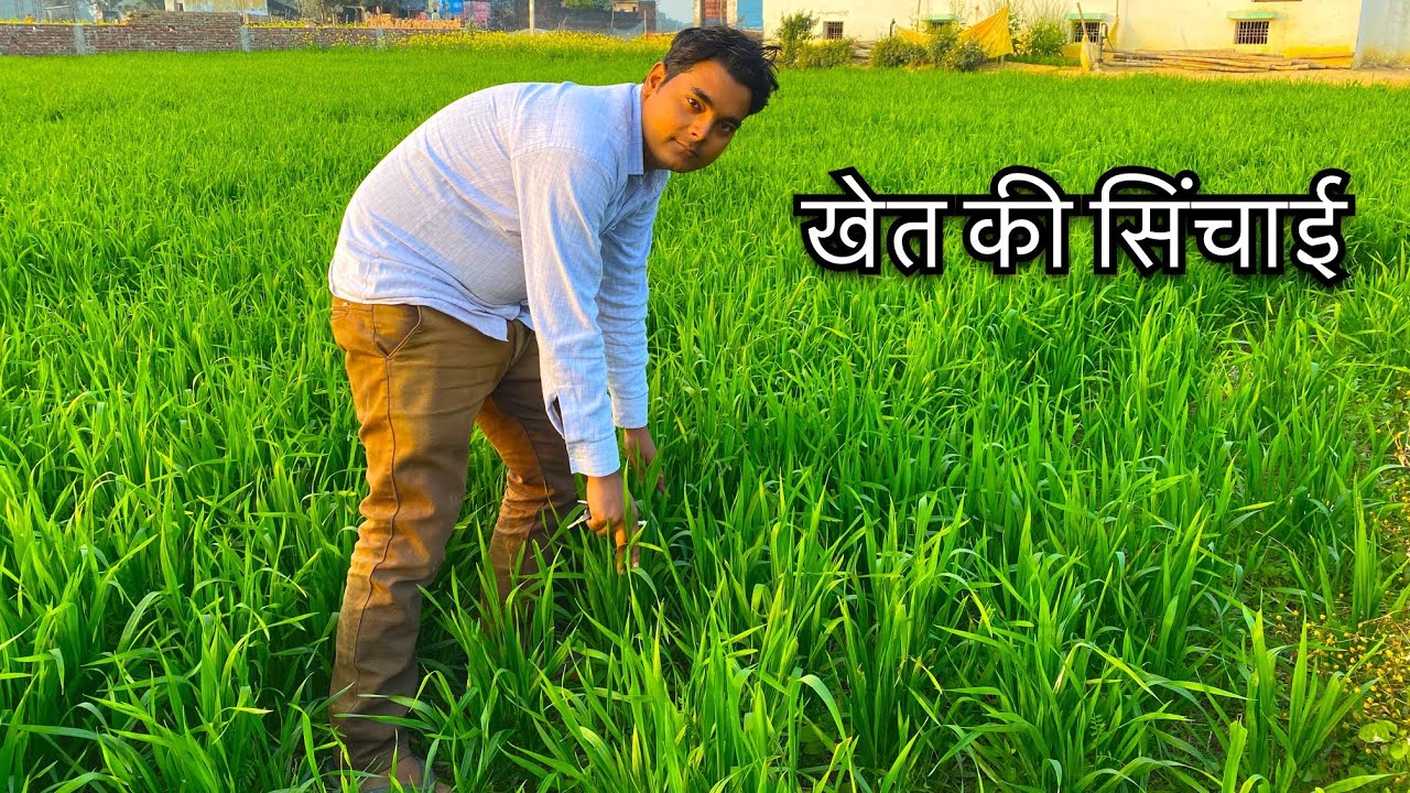 खेत की सिचाई💧khet ki sichai 💦 Village style My first Vlog - YouTube