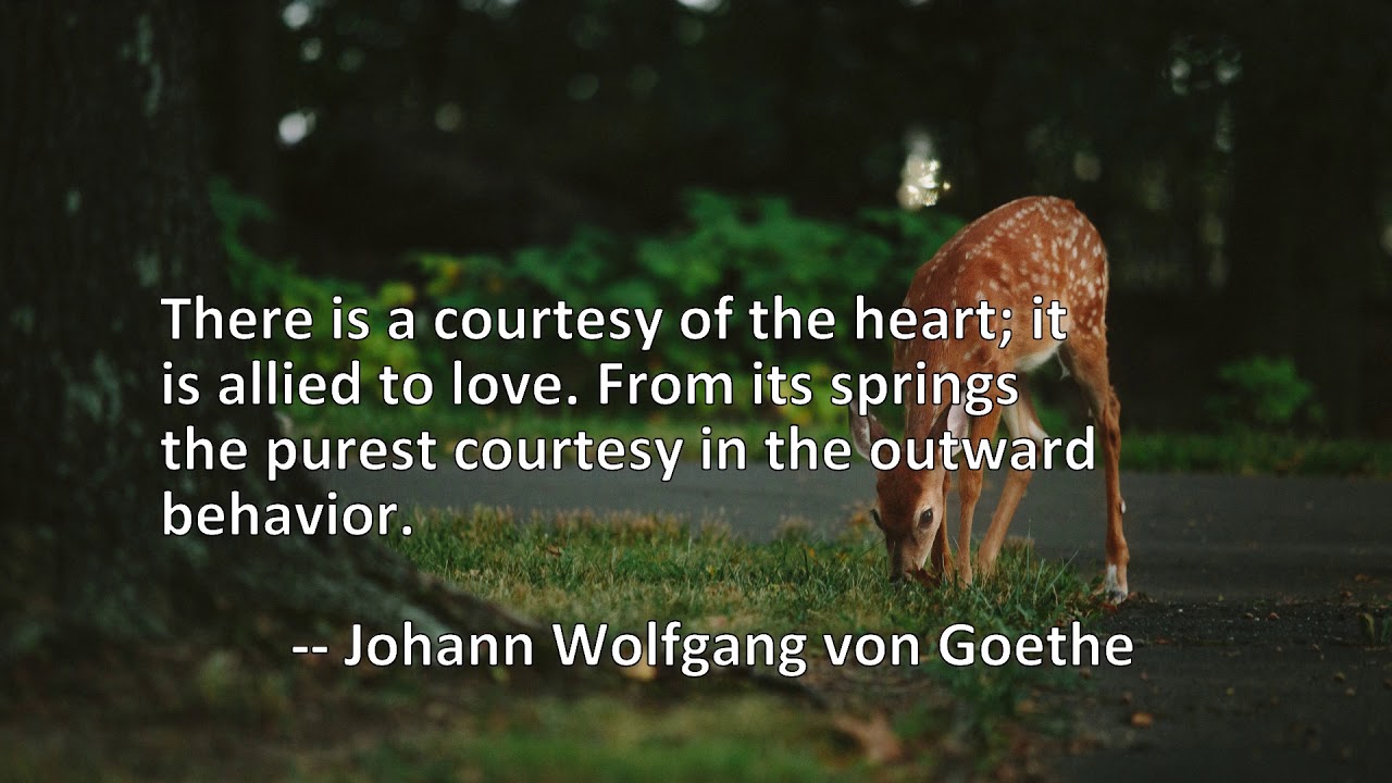 Capture Your Heart Quotes