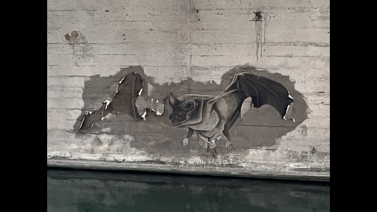 The Bat Bridge (Congress Ave bridge) in Austin, TX - YouTube