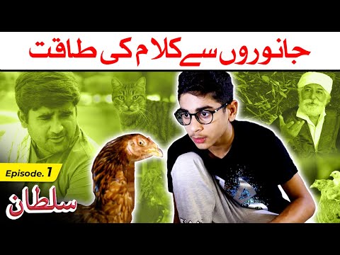 Janwaron se Kalaam ki Taqat - Sultan Ep01| Power to Converse with Animals | جانوروں سے کلام کی طاقت