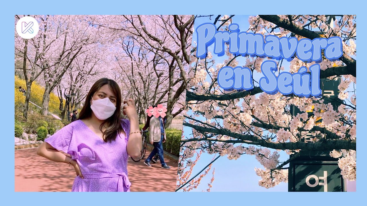 CAMINANDO ENTRE LOS CEREZOS EN SEÚL 🌸 + La primavera en Corea del Sur ...