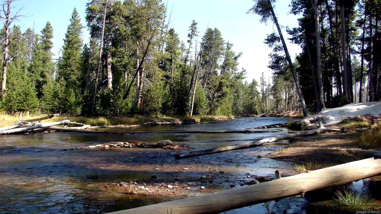 Sound of River Flowing Downstream (12Hrs) WHITE NOISE 4 Sleep, Focus ...