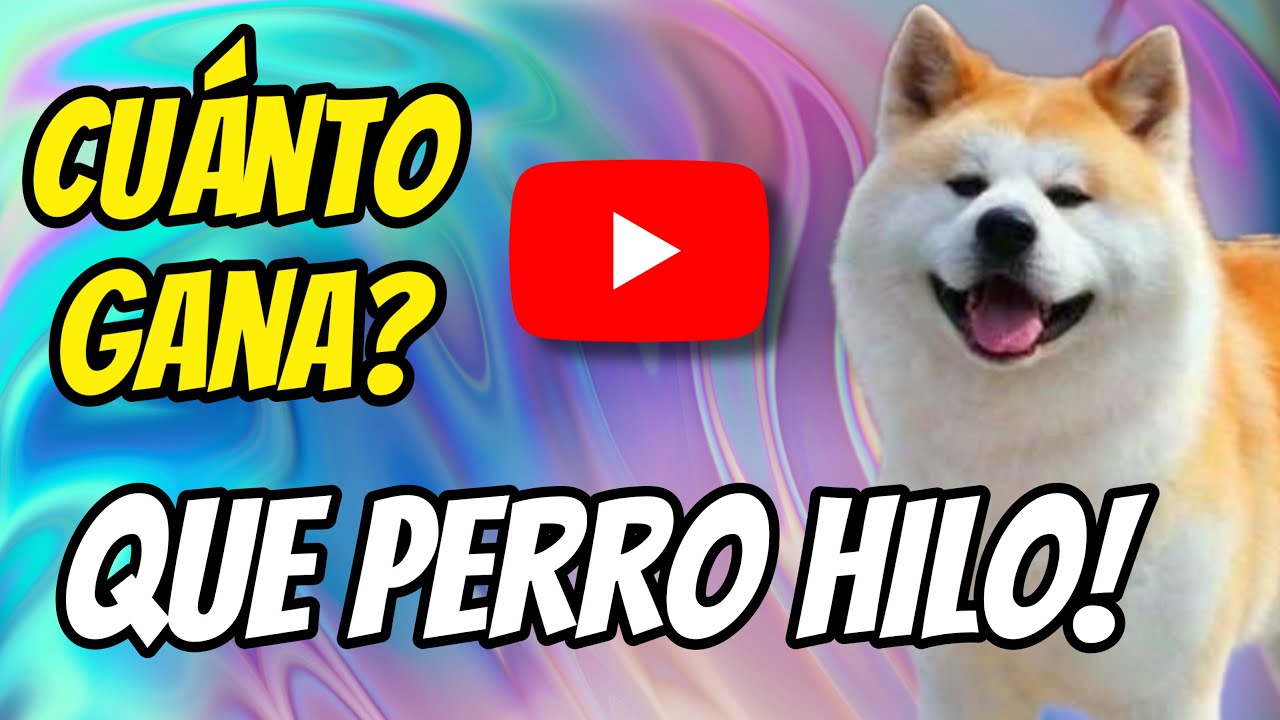 🤑👉🔴Cuanto Dinero Gana Qué Perro Hilo! en Youtube | #QuéPerroHilo! - YouTube