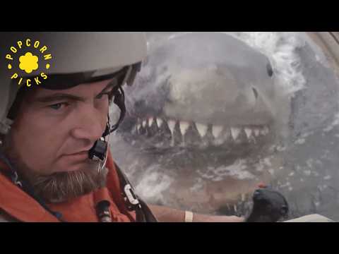 The Great White Takes Down A Helicopter (INSANE SCENE) | Jaws 2