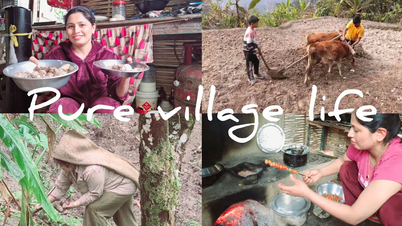 "Unforgettable Moments: Explore the Joyful Village Life of Sikkim ...