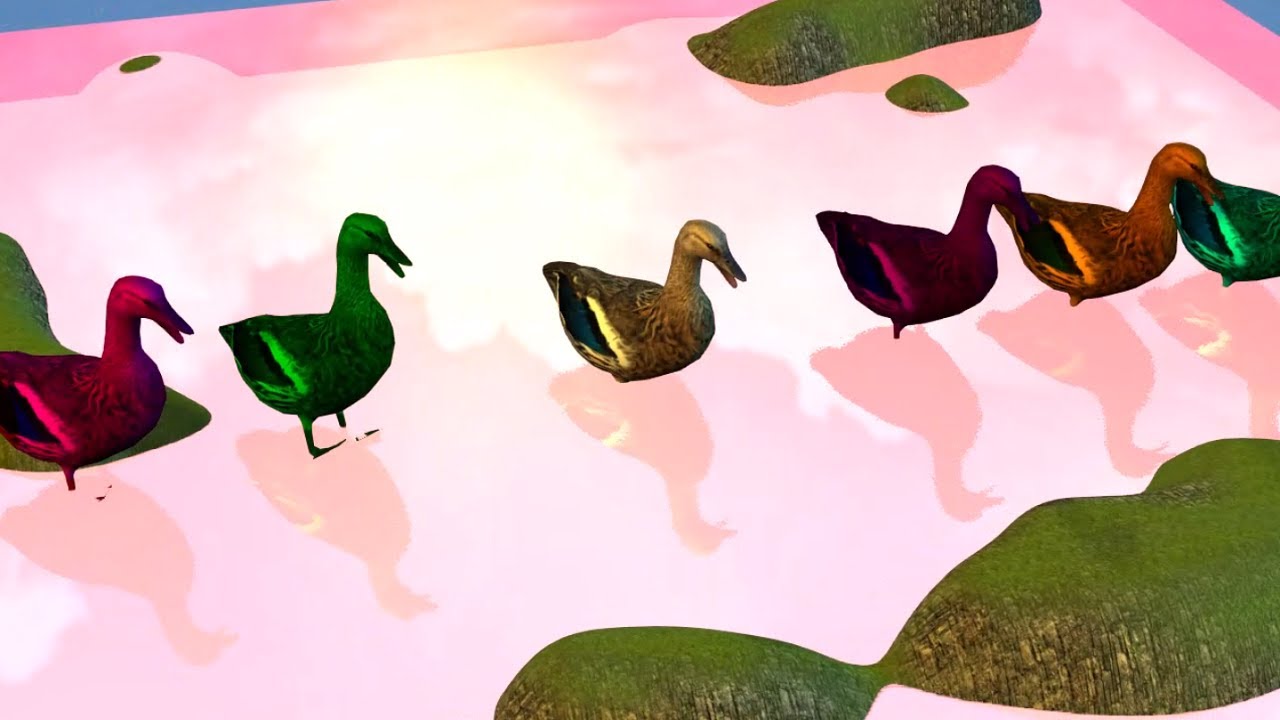 Funny Duck Dance Duck Song Duck Videos Dancing Duck Bebek Duckly funny-duck-dance-duck-song-duck-videos-dancing-duck-bebek-duckly